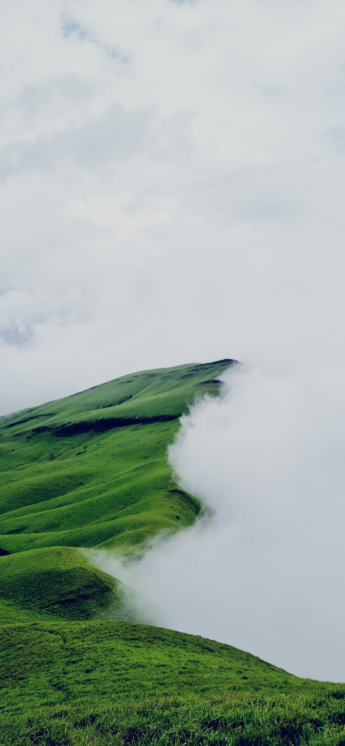 Netravati Peak Trek – Your Guide to Trek in Kudremukh - Treken Trip