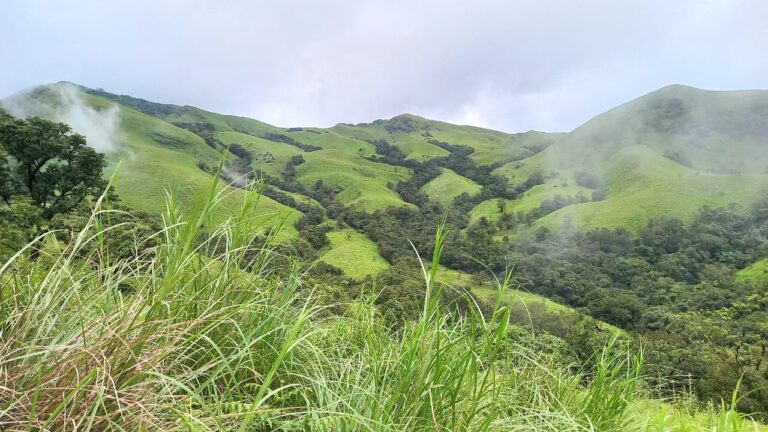 Netravati Peak Trek – Your Guide to Trek in Kudremukh - Treken Trip